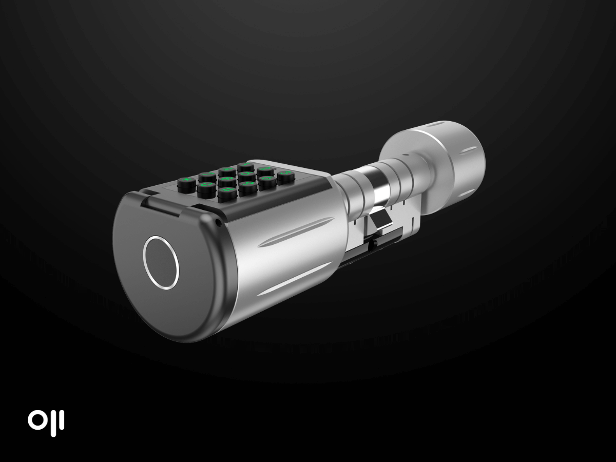 Why Having a Waterproof Smart Lock is Important - OjiSmart